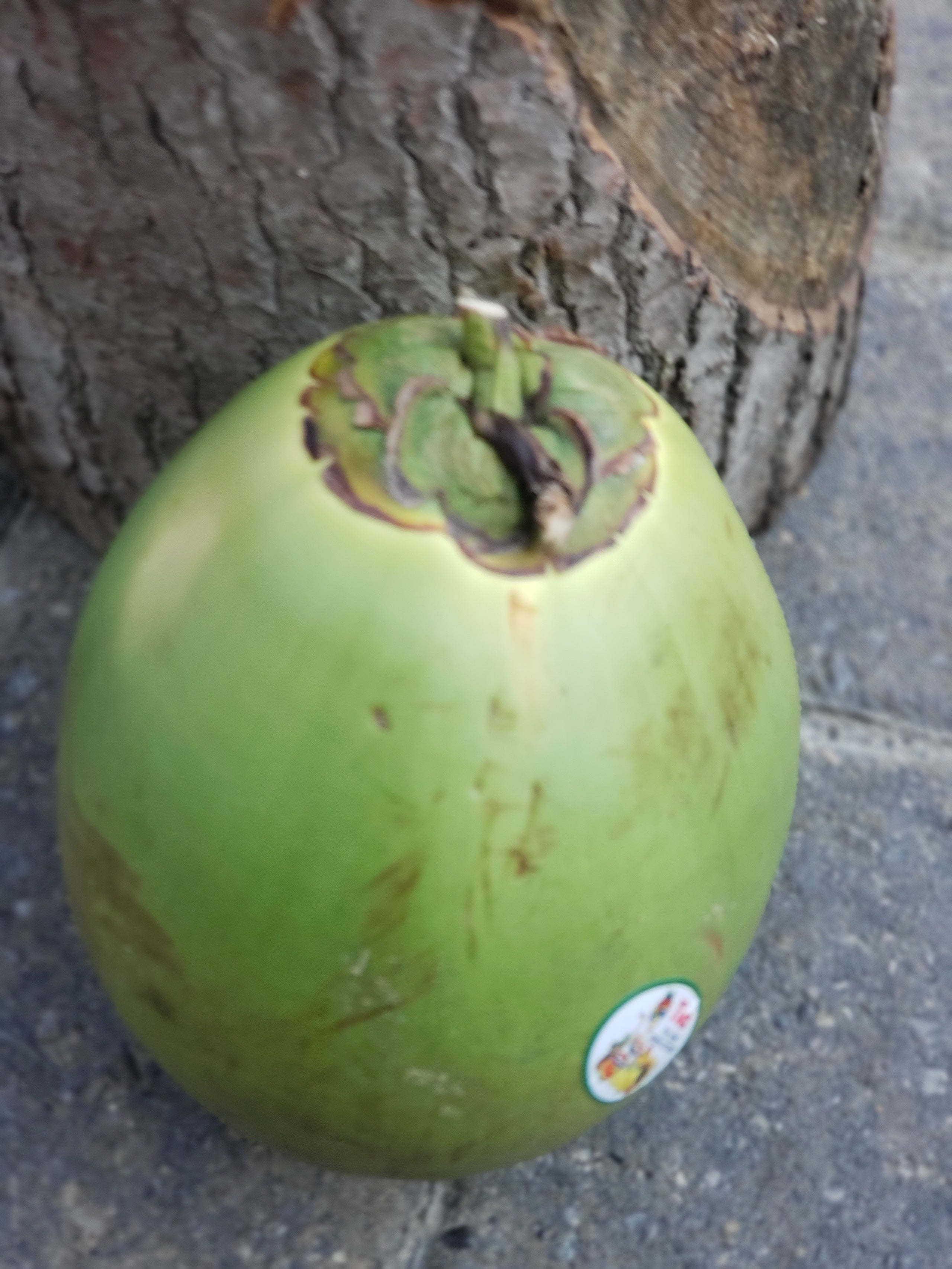 Fresh Green Coconut Box | Natural Juice